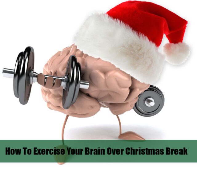 How To Exercise Your Brain Over Christmas Break - reThink ELA